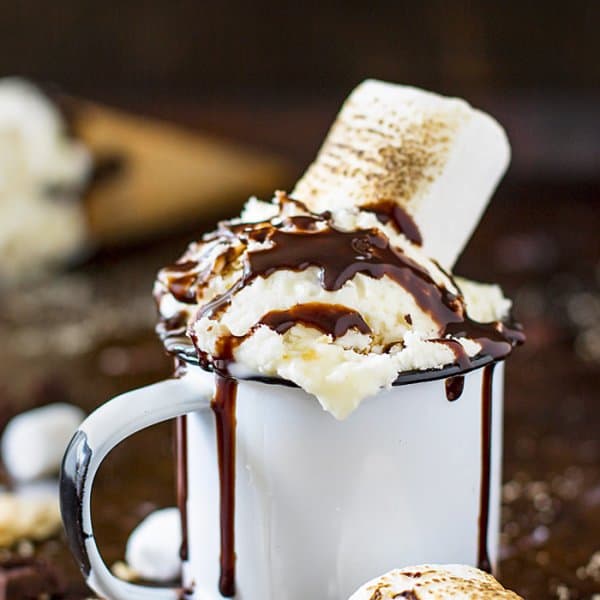 No-Churn S'mores Ice Cream: Favorite Campfire Treat in Ice Cream Form
